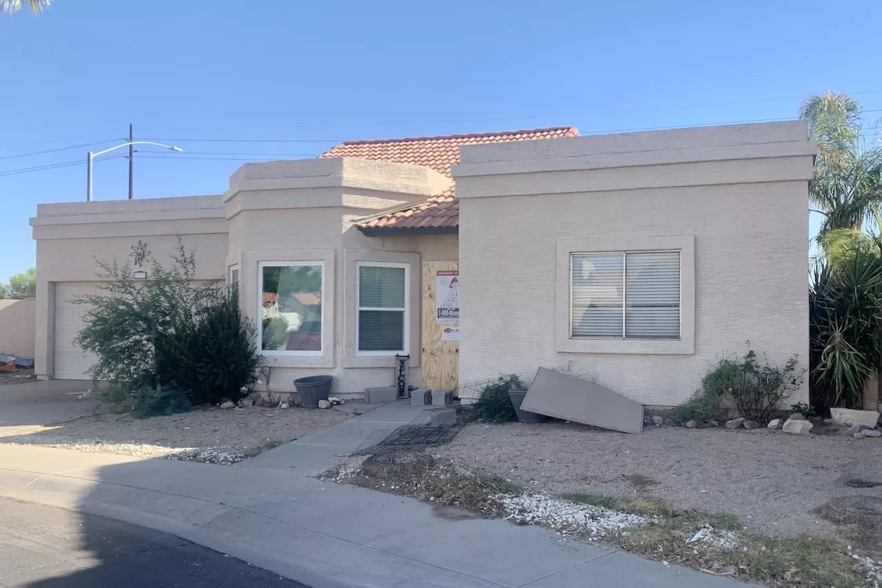 Custody battle over dogs seized in Chandler animal abuse case rages on ...